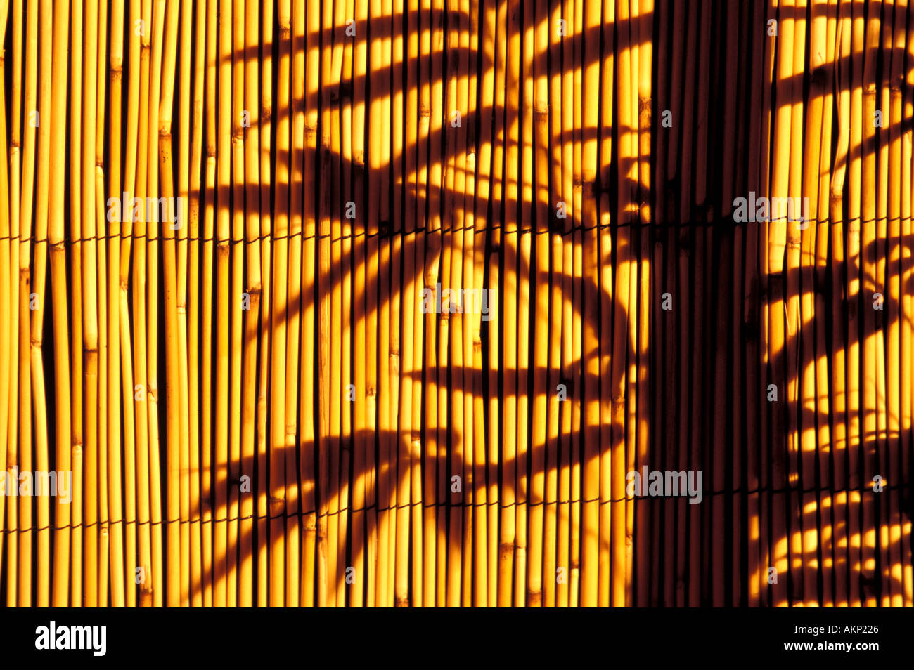 Bamboo shadow hi-res stock photography and images - Alamy