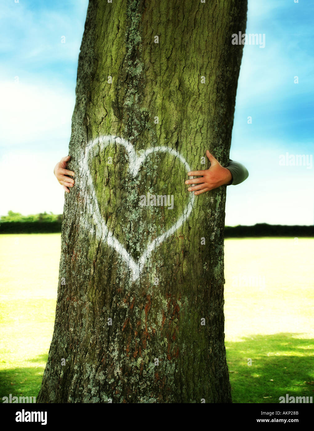 Hug tree hi-res stock photography and images - Alamy
