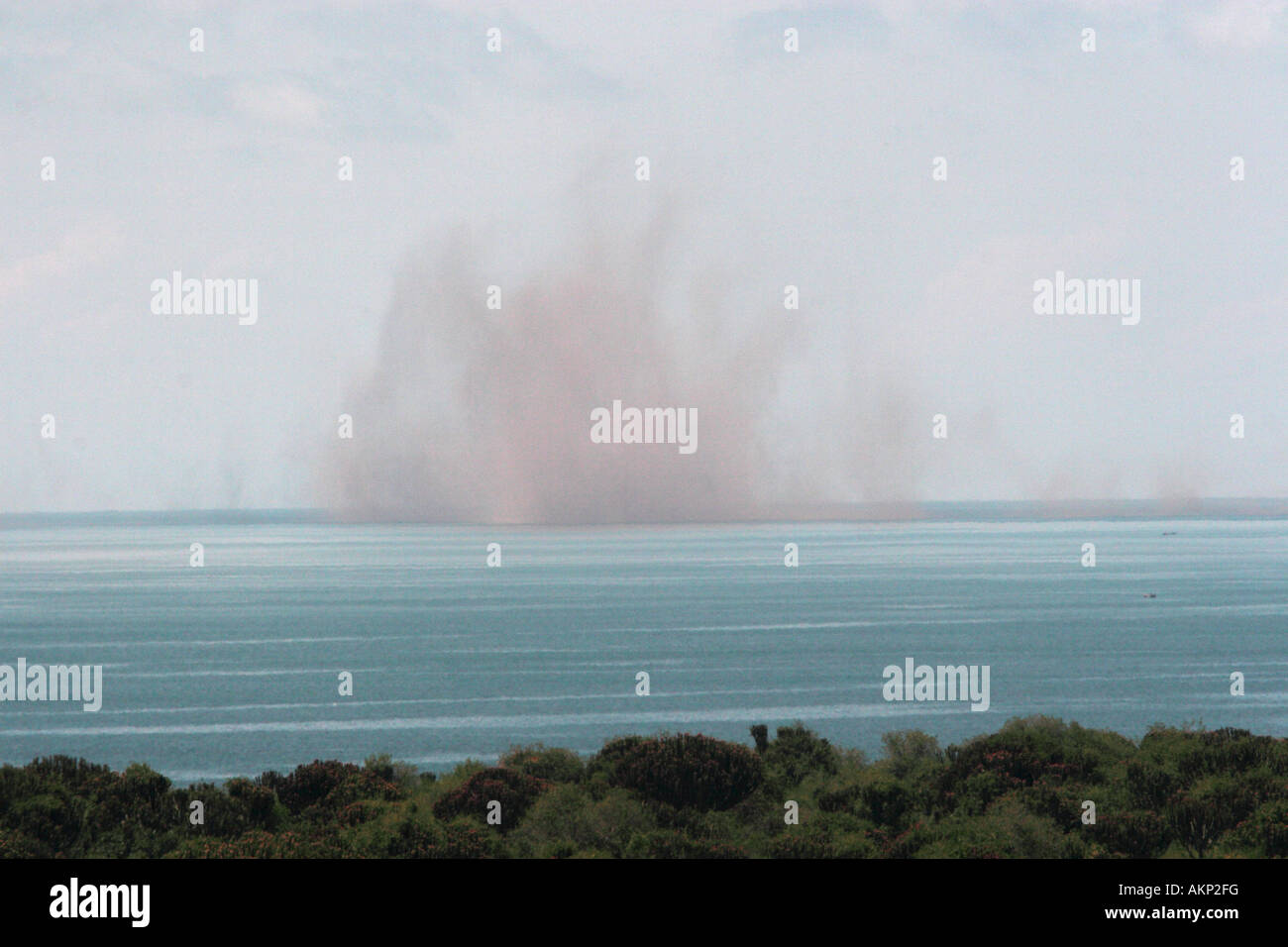 Lake Edward swarm Stock Photo - Alamy