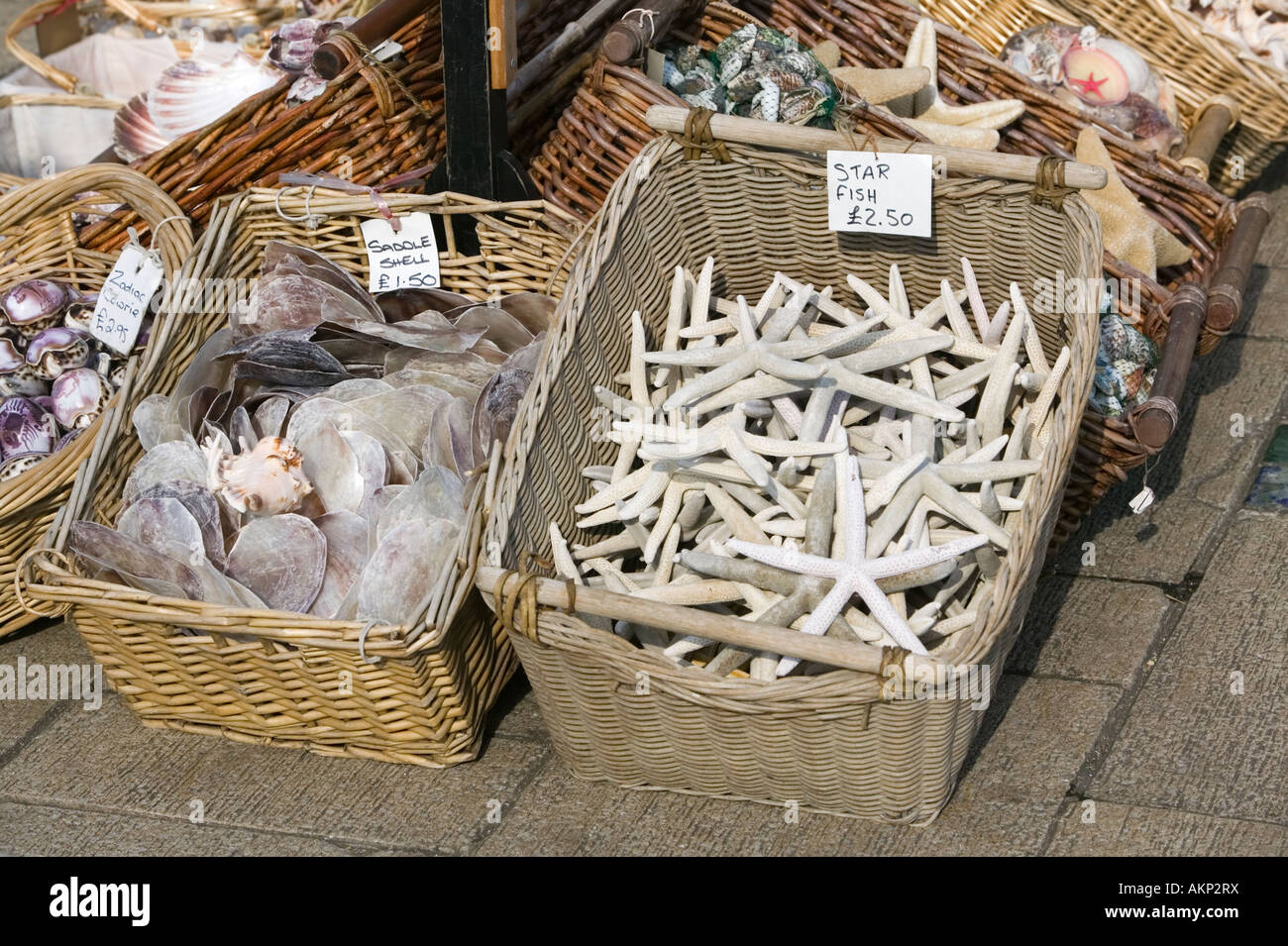 Baskets with starfish and sea shells at Brighton seafront Stock Photo ...