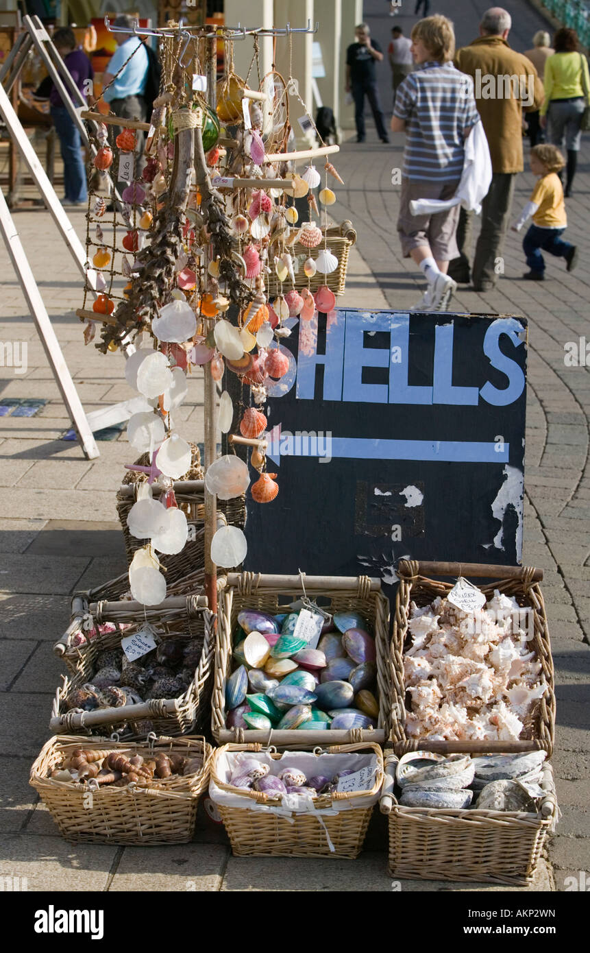 Baskets of sea shells hi-res stock photography and images - Alamy