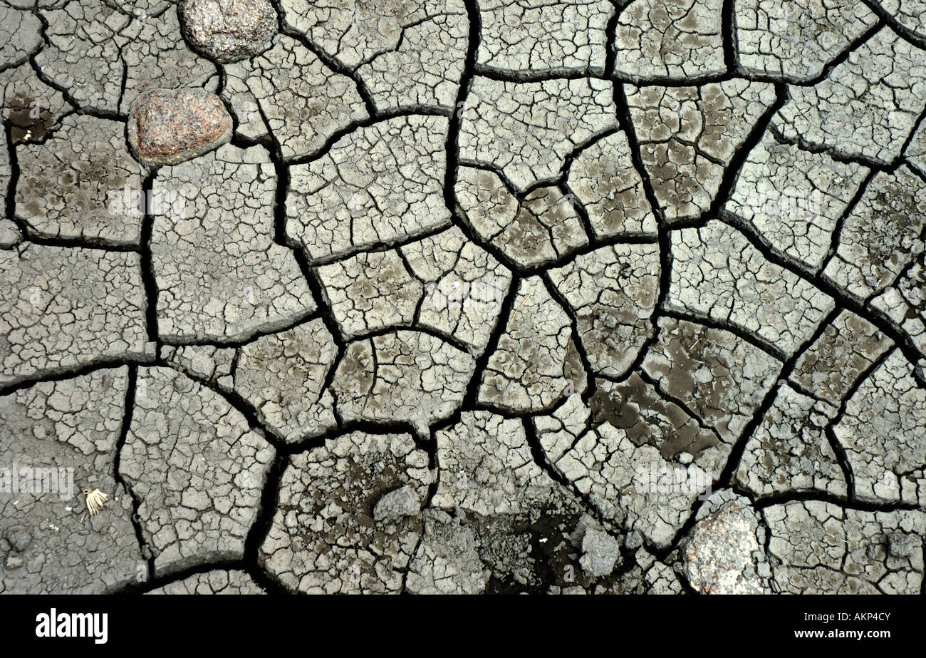 Dry mud in a field Stock Photo - Alamy