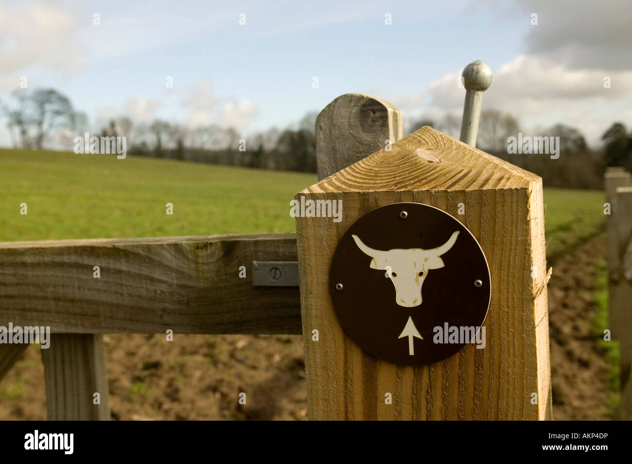 Beware bull warning sign on hi-res stock photography and images - Alamy