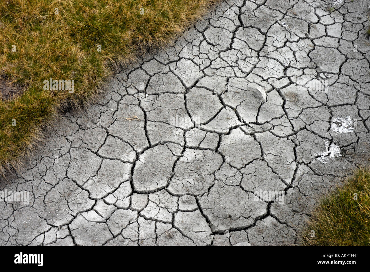 Dry mud in a field Stock Photo - Alamy