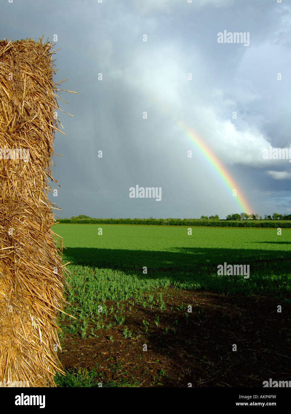 A distant rainbow on the edge of storm clouds. Lincolnshire, England ...