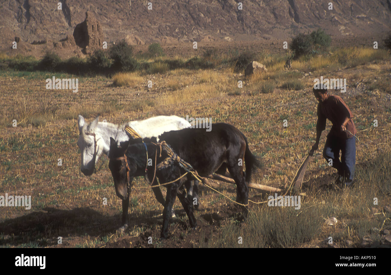Primitive plough hi-res stock photography and images - Alamy