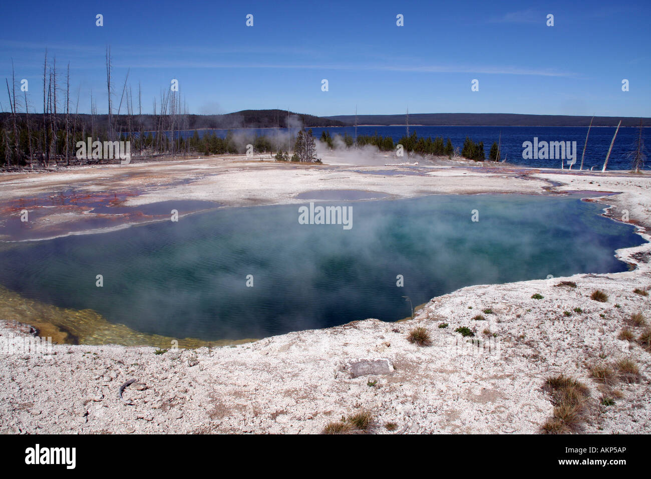Abyss Pool, West Thumb Geyser Basin, Yellowstone National Park Stock ...