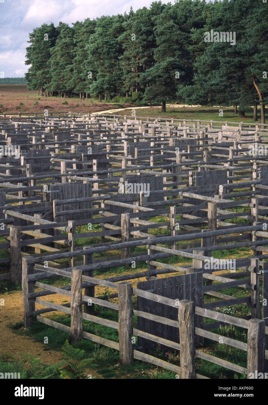 Empty Cattle Pens High Resolution Stock Photography and Images - Alamy