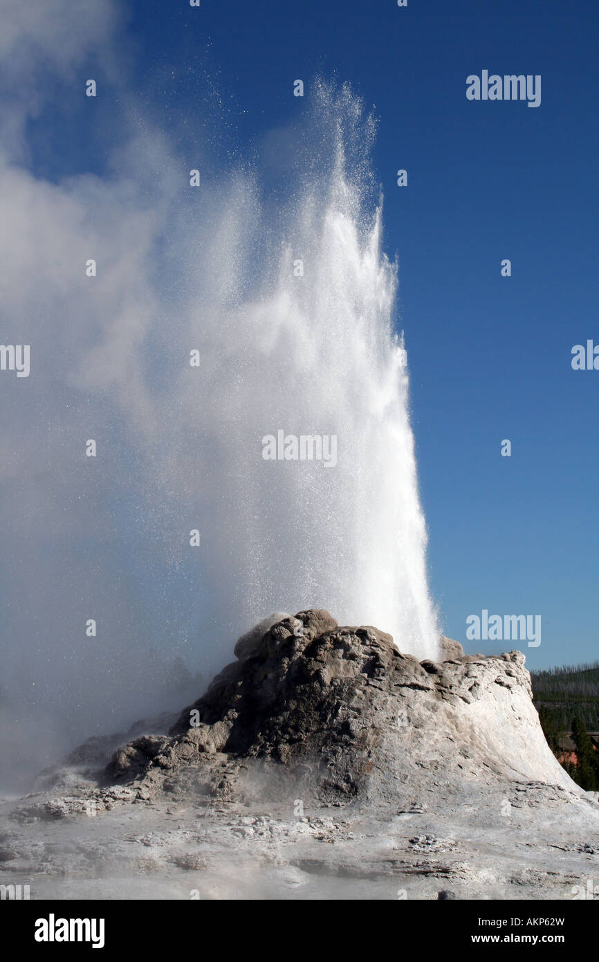 Castle Geyser, Upper Geyser Basin near Old Faithful, Yellowstone ...