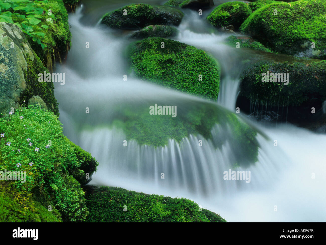 Pristine mountain environments hi-res stock photography and images - Alamy