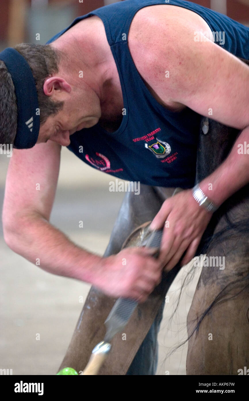 Professional Farrier on Show at the Royal Highland Show, Ingilston ...