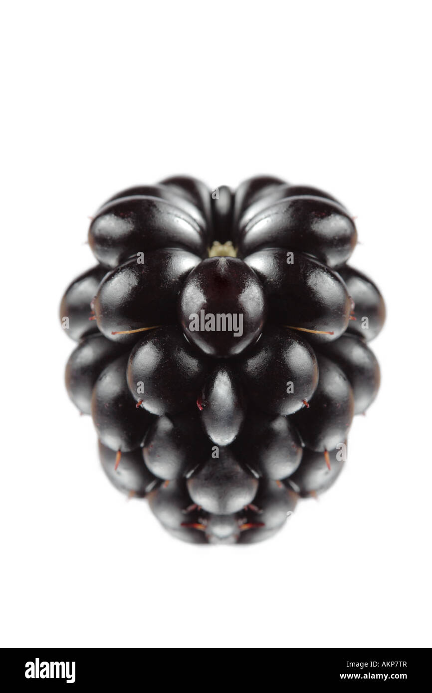 Food fresh fruit produce blackberry sweet berry berries hi-res stock ...