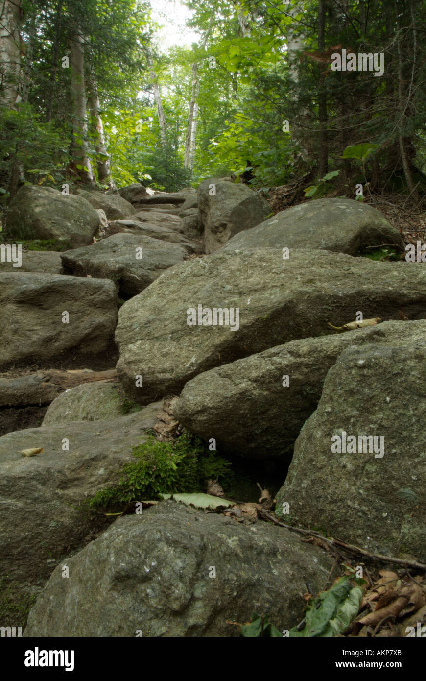 White Mountain National Forest of New Hampshire USA Valley way Stock ...