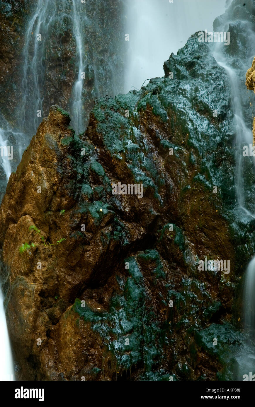 Samak hi-res stock photography and images - Alamy