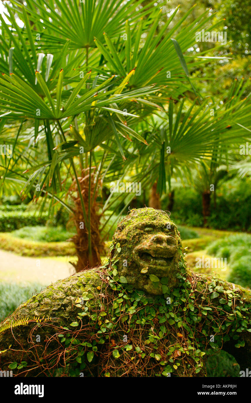 Unusual animals in Terra Nostra Park Sao Miguel island Azores Portugal ...