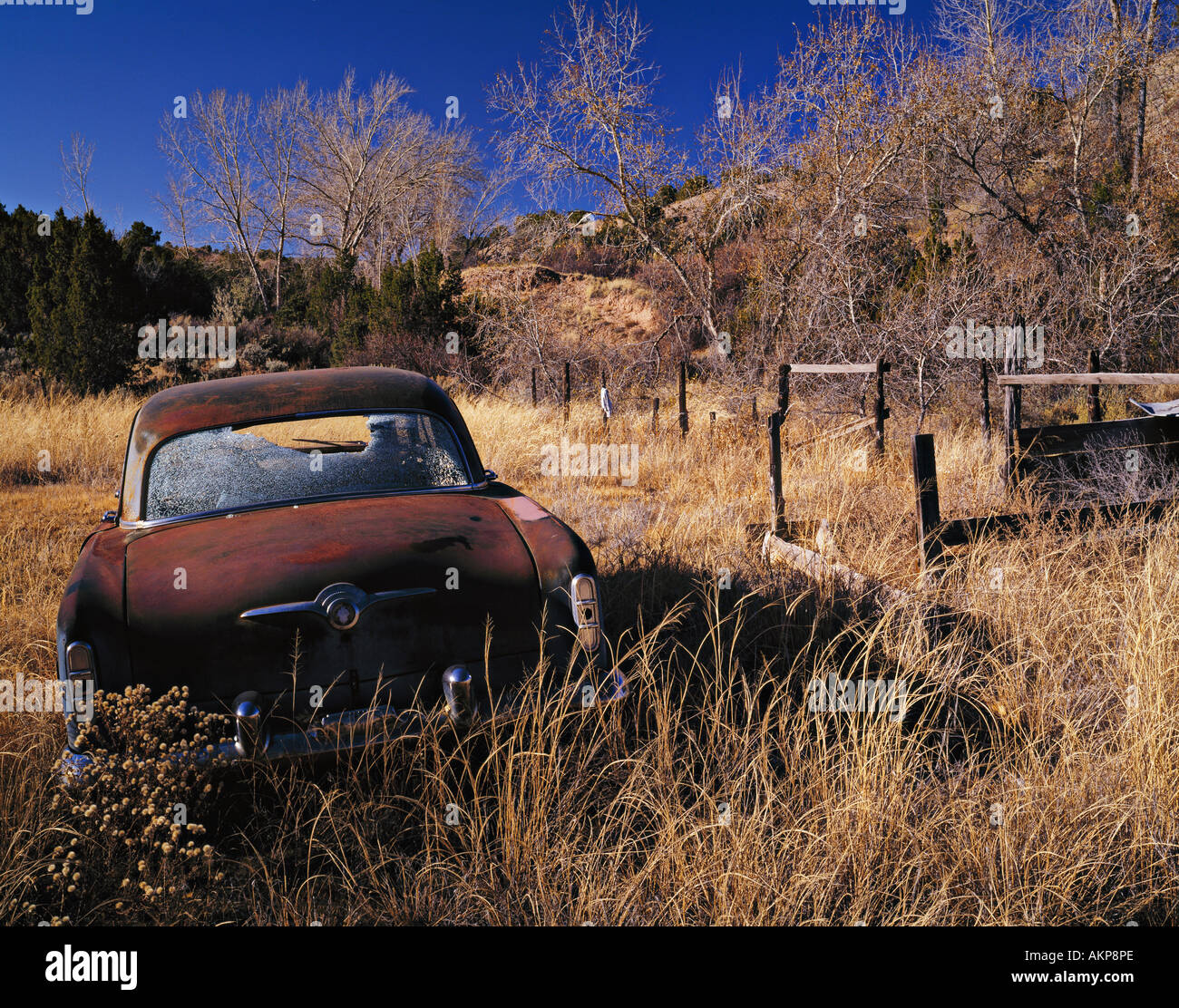 1950 packard hi-res stock photography and images - Alamy