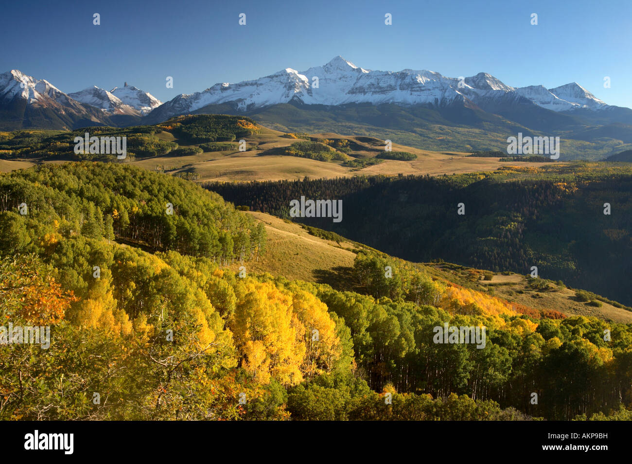 Aspen mt wilson san juan hi-res stock photography and images - Alamy