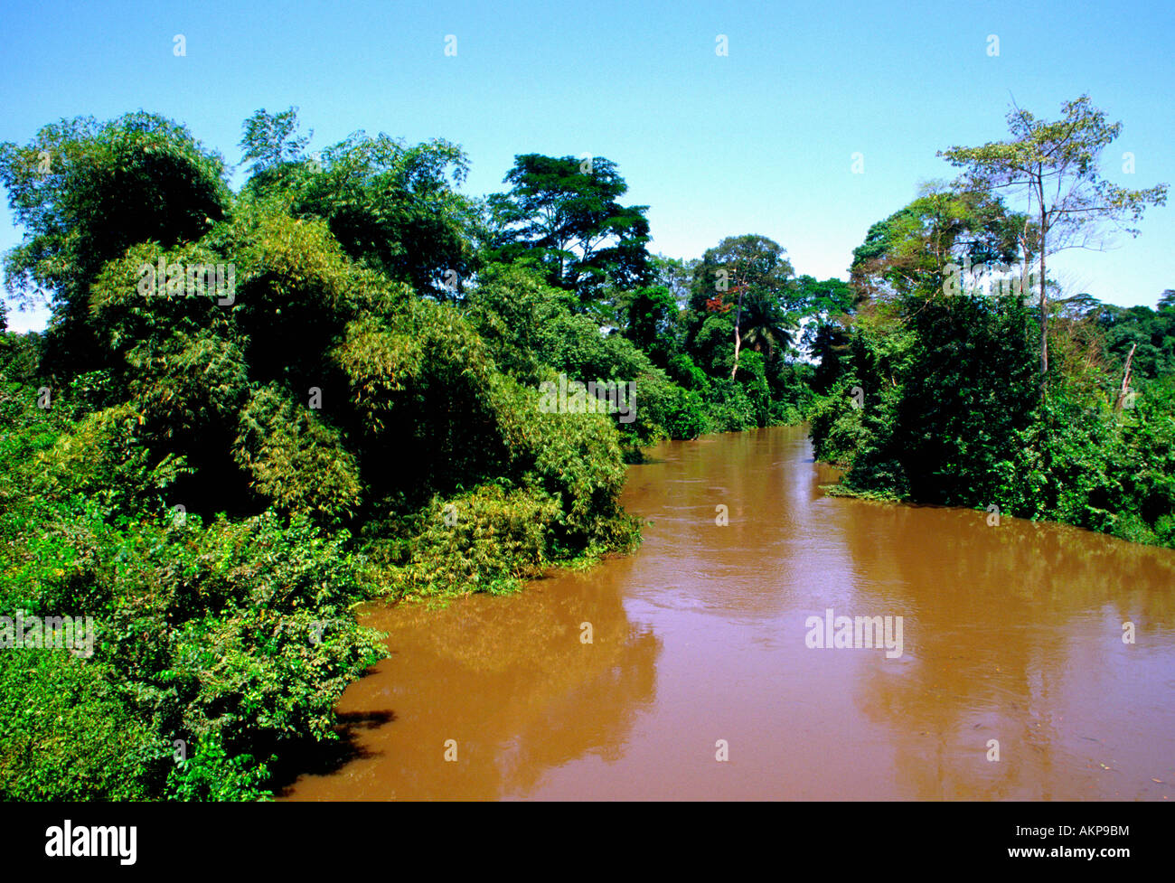 A small river in the southwestern part of Cote d'Ivoire Stock Photo - Alamy