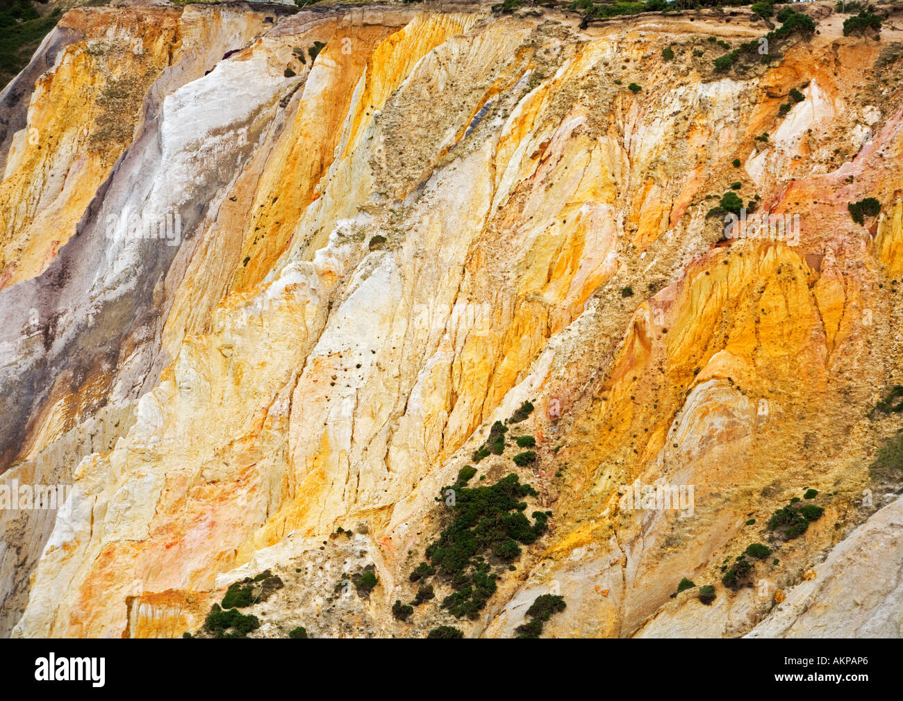 Multi coloured Sandstone Cliffs isle of wight uk Stock Photo - Alamy