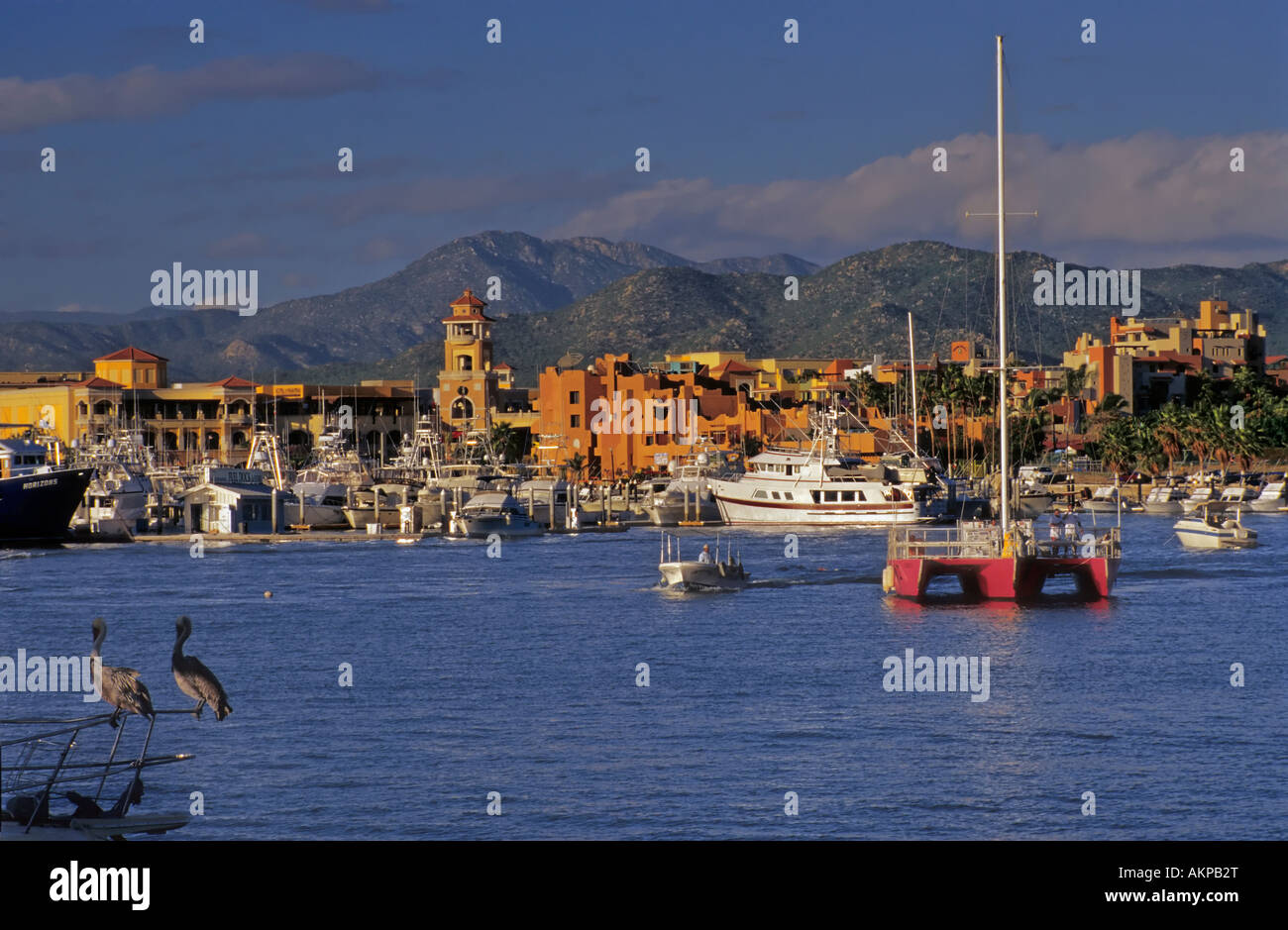 Marina waterfront cabo san lucas hi-res stock photography and images ...