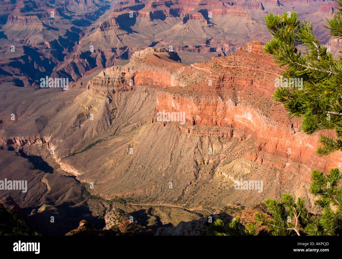 Grand Canyon national park Stock Photo - Alamy