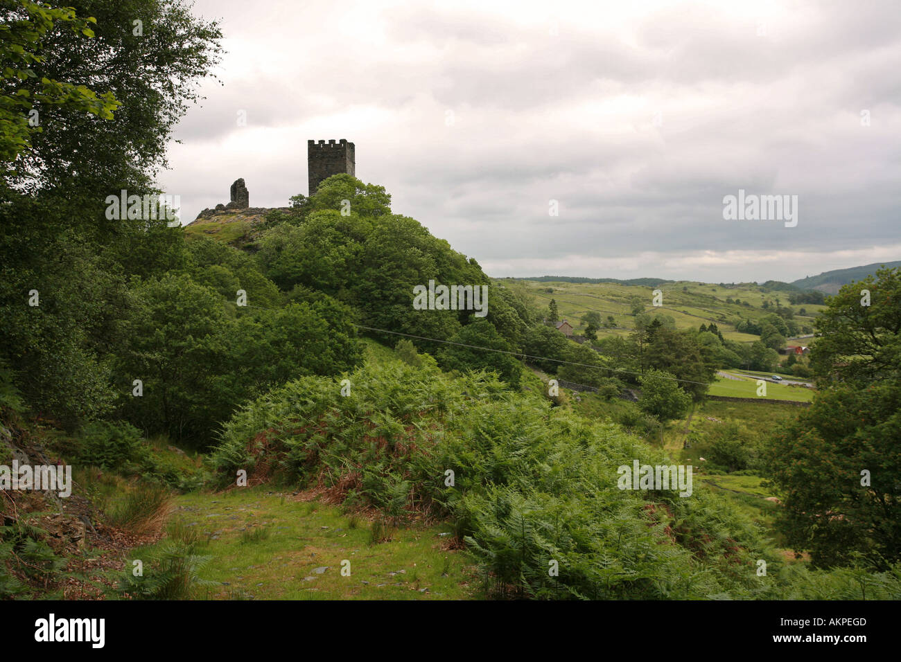 Ancient 13th century ruins of Dolwyddelan Castle overlook the Snowdonia ...