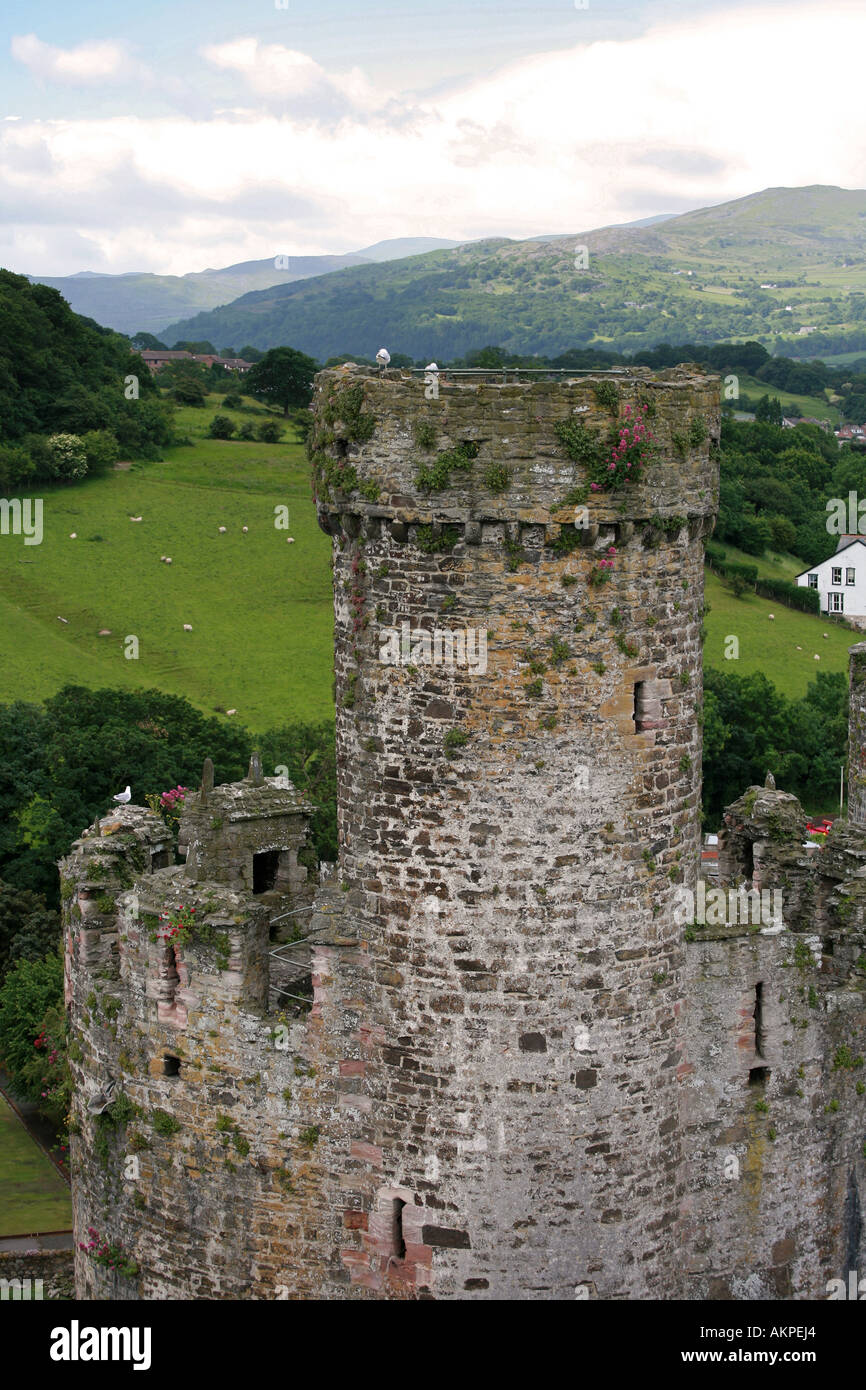 Aerial view of famous North Wales tourist attraction Conwy Castle ...