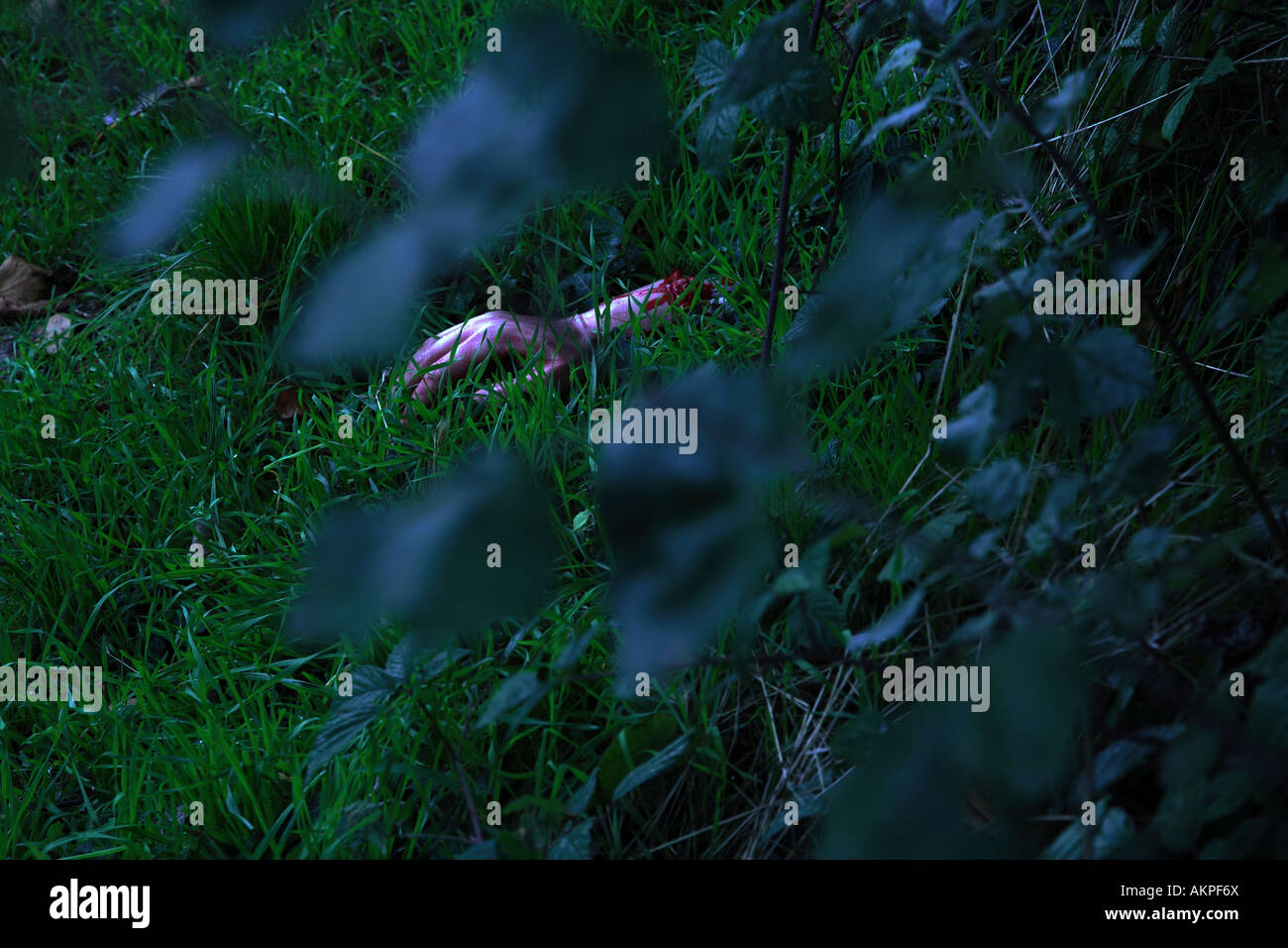 Severed hand hi-res stock photography and images - Alamy