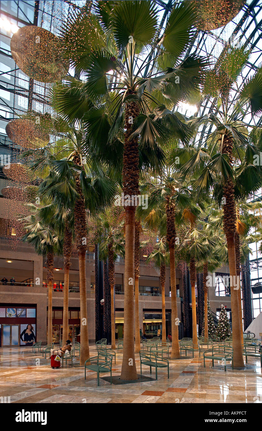 East wintergarden High Resolution Stock Photography and Images - Alamy