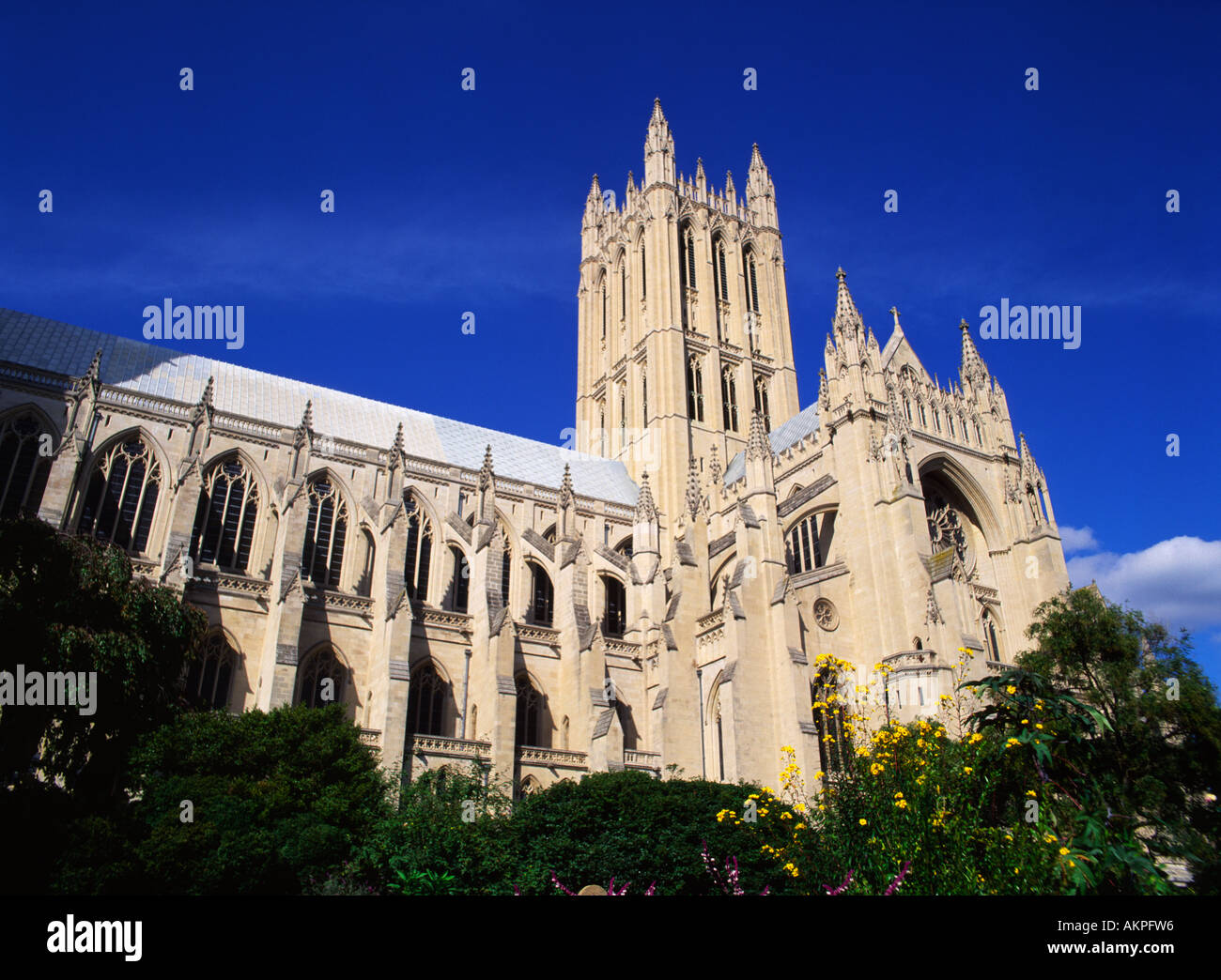 Us capitol gardens washington hi-res stock photography and images - Alamy