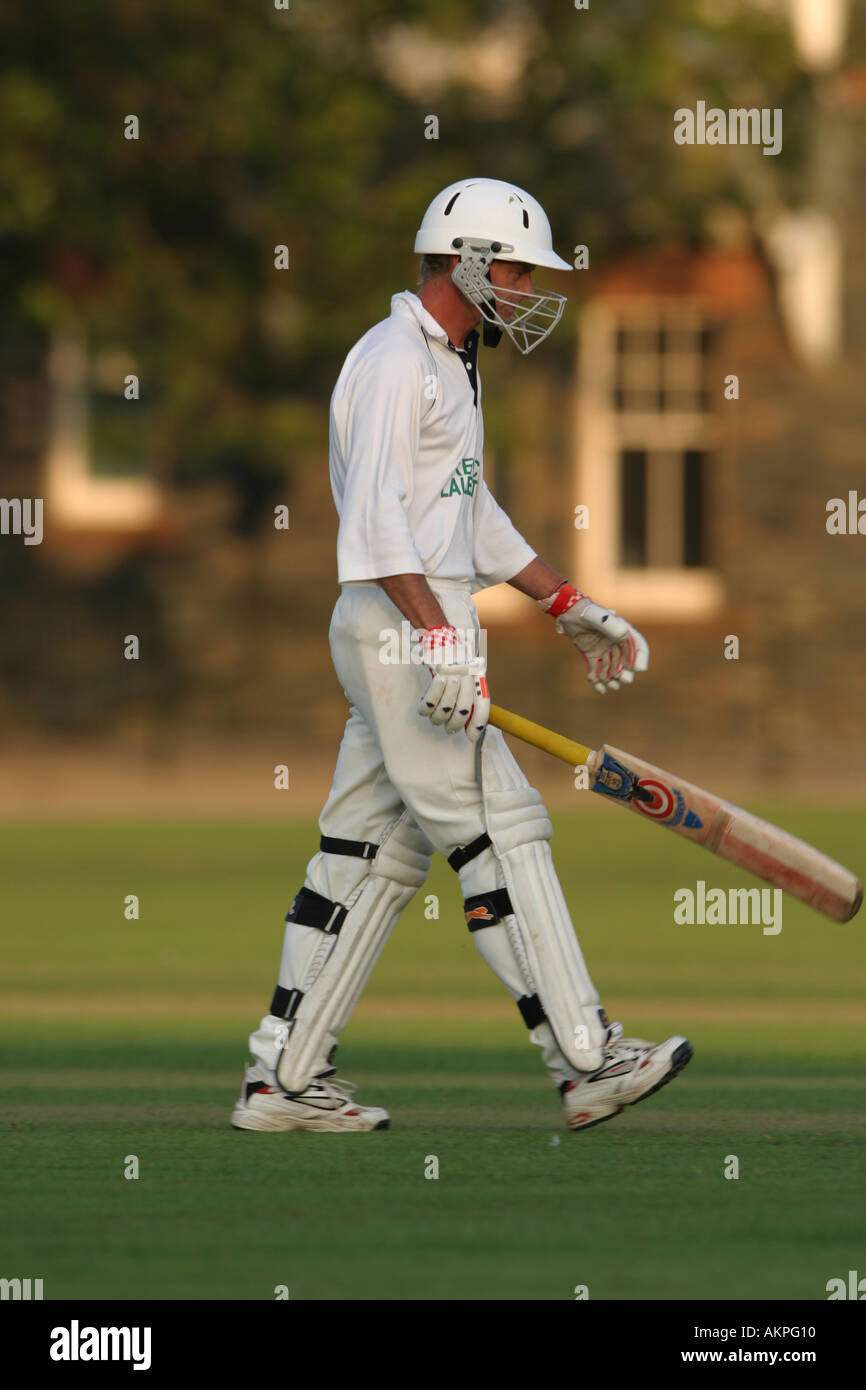 batsman walking back to stumps during a cricket game Stock Photo - Alamy