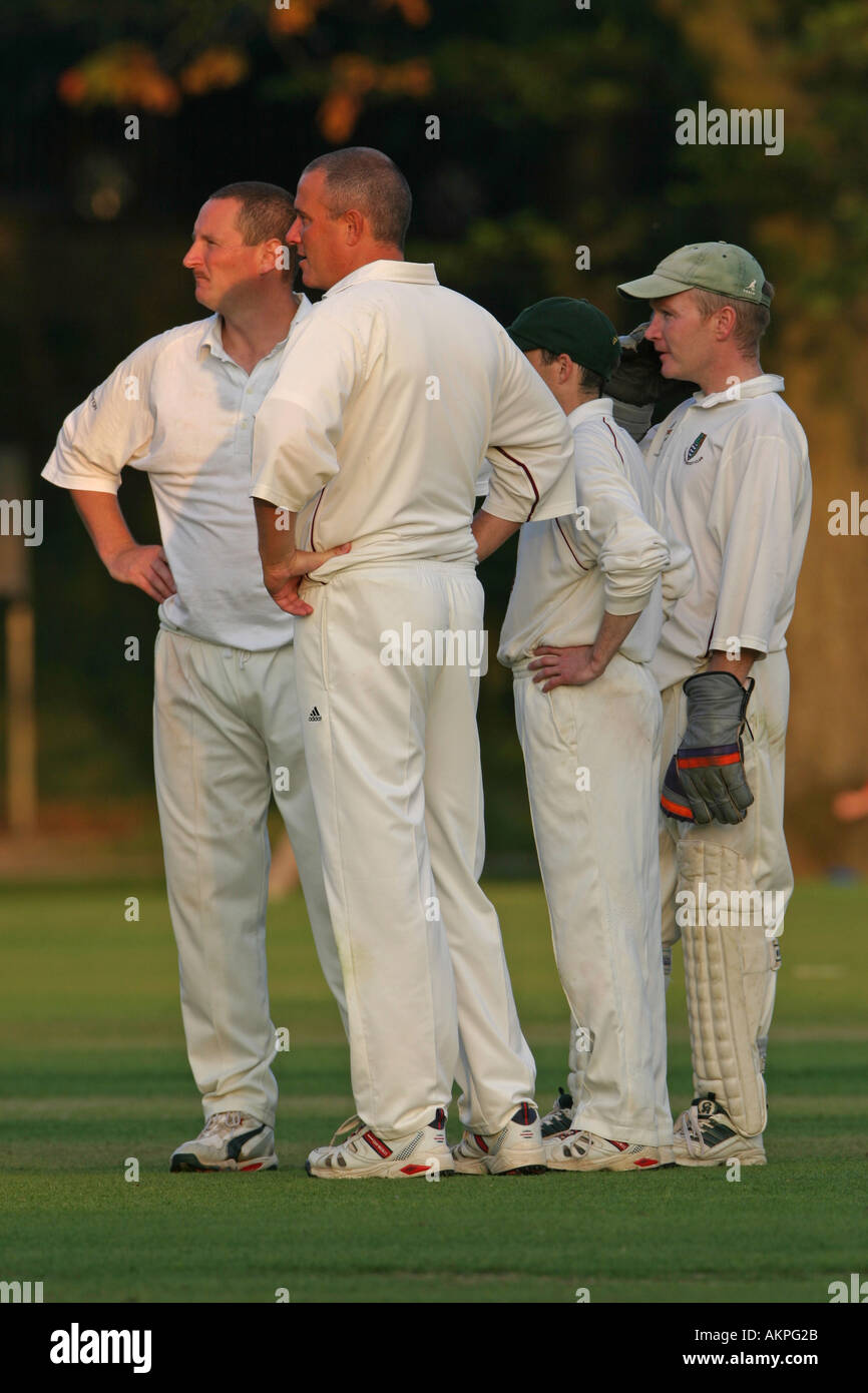 Cricket jumper hi-res stock photography and images - Alamy