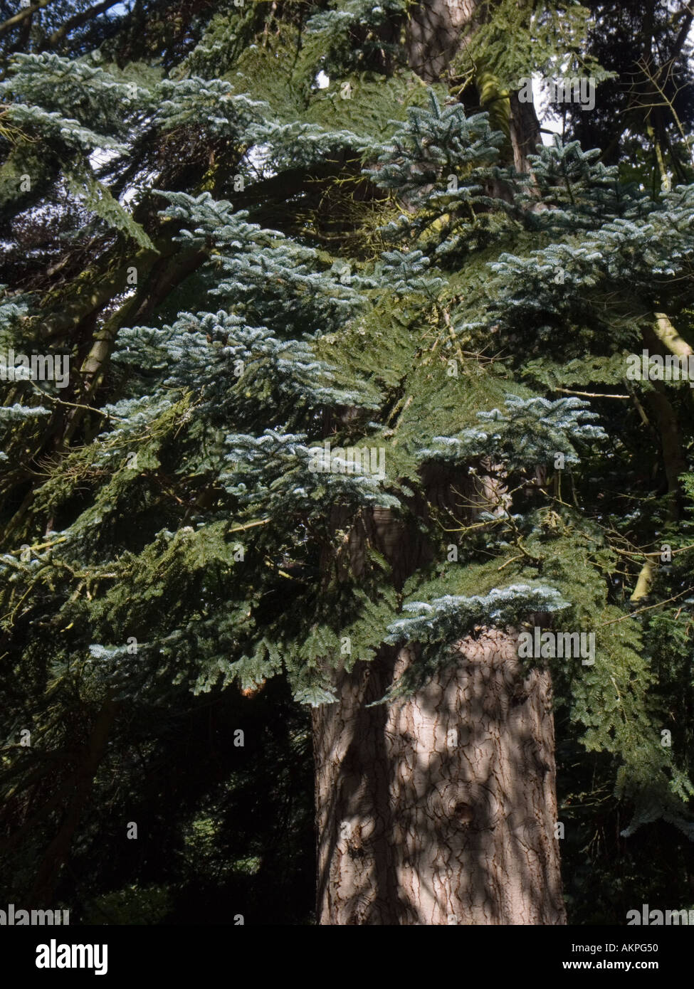 Peeblesshire scotland hi-res stock photography and images - Alamy