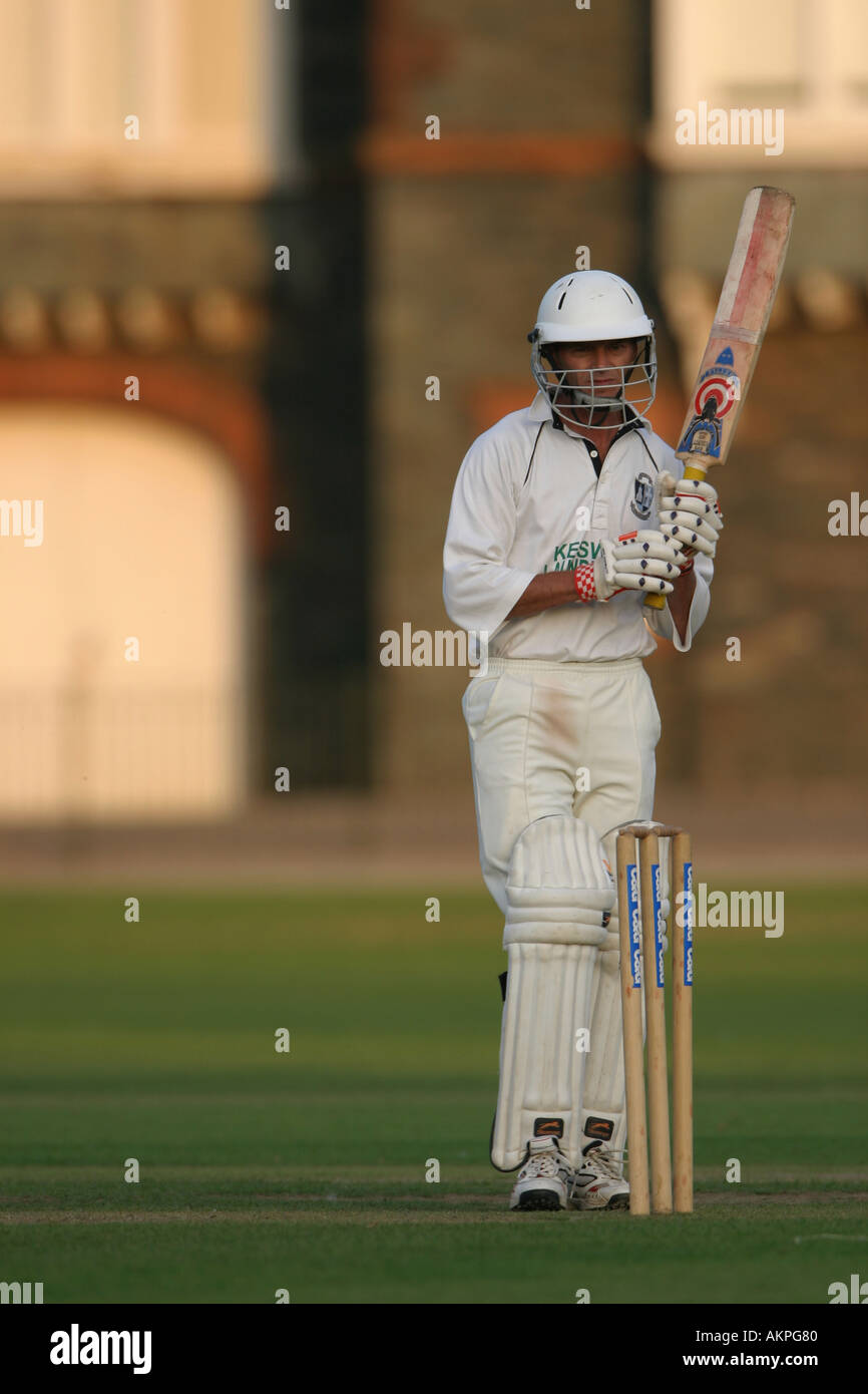 Village cricket crowd hi-res stock photography and images - Alamy