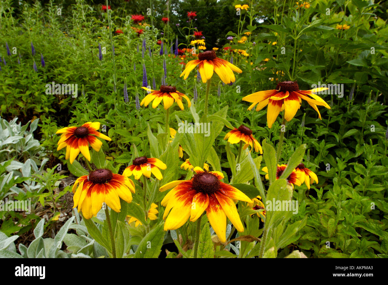 Floyds knobs hi-res stock photography and images - Alamy