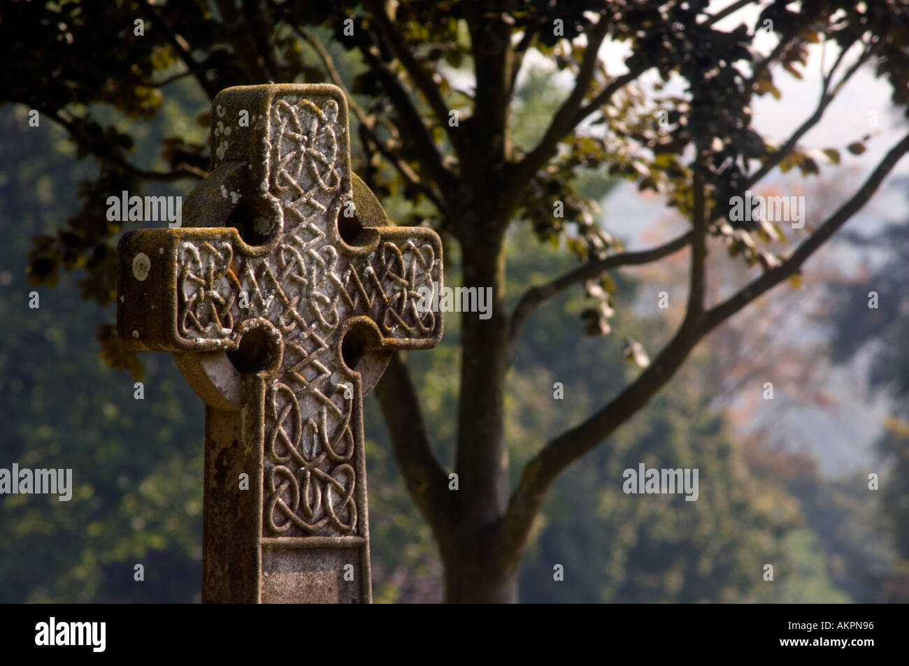 Gravestone dead buried hi-res stock photography and images - Alamy