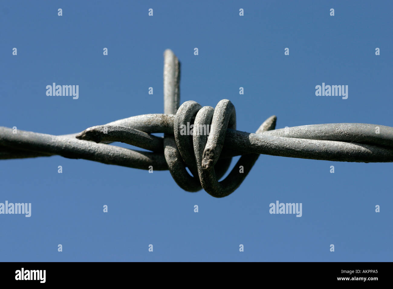 Barbed wire line hi-res stock photography and images - Alamy