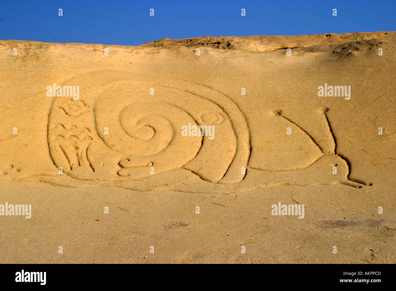 snail carving on beach in Gozo, Malta Stock Photo - Alamy