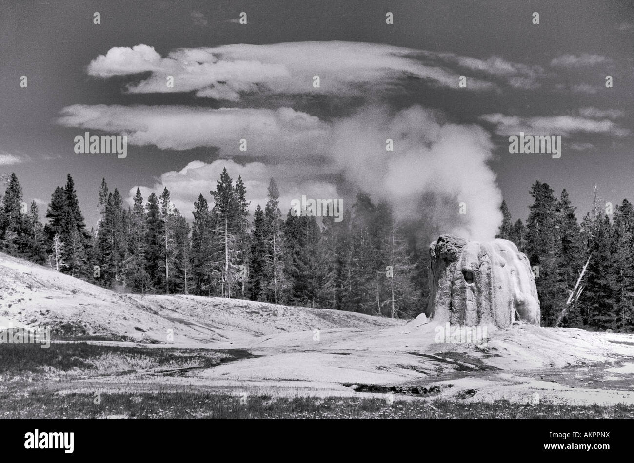 The Lone Star Geyser at Yellowstone National Park, Wyoming, USA. UNESCO ...