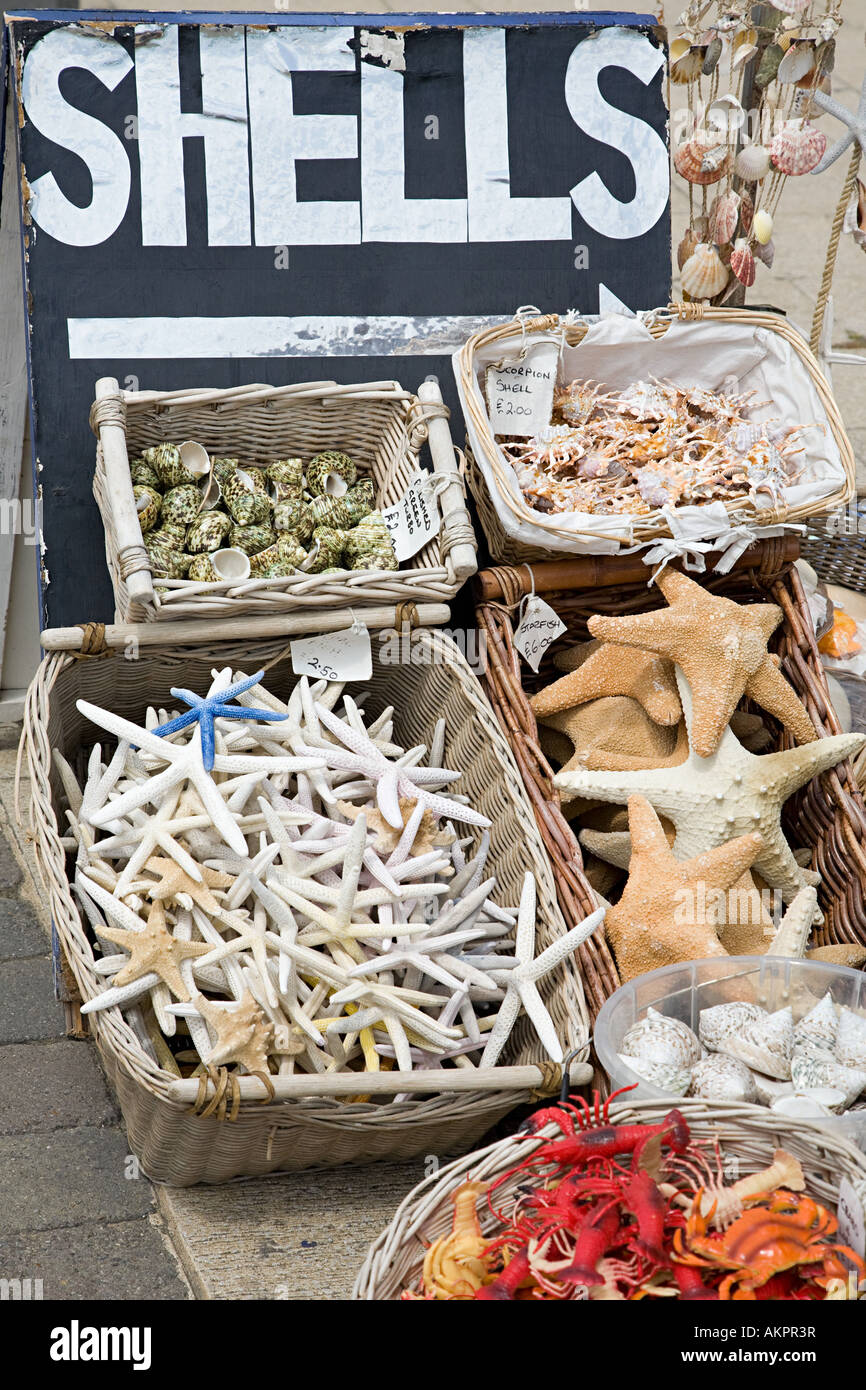 Writing with shells hi-res stock photography and images - Alamy