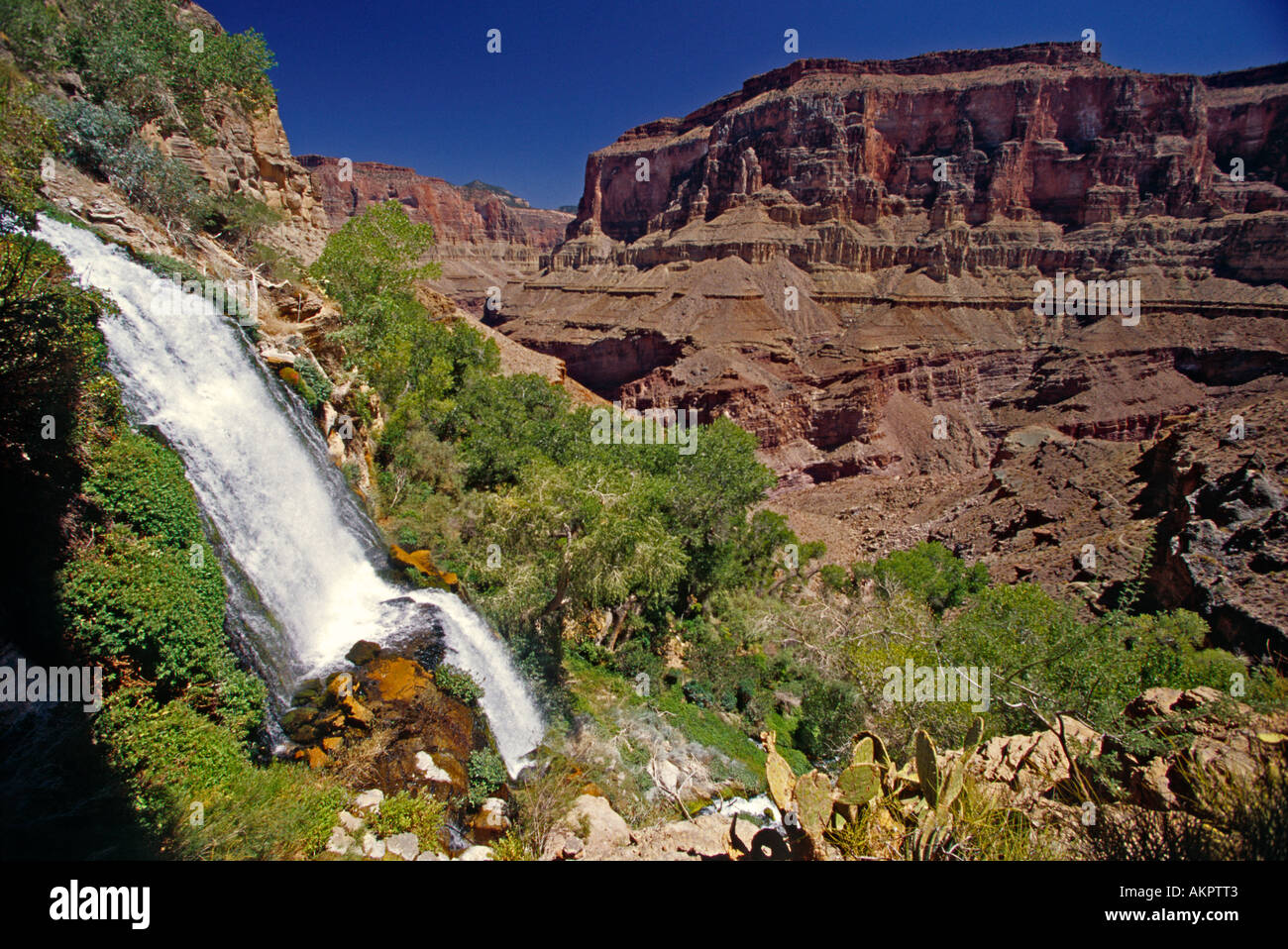 Thunder river falls arizona hi-res stock photography and images - Alamy