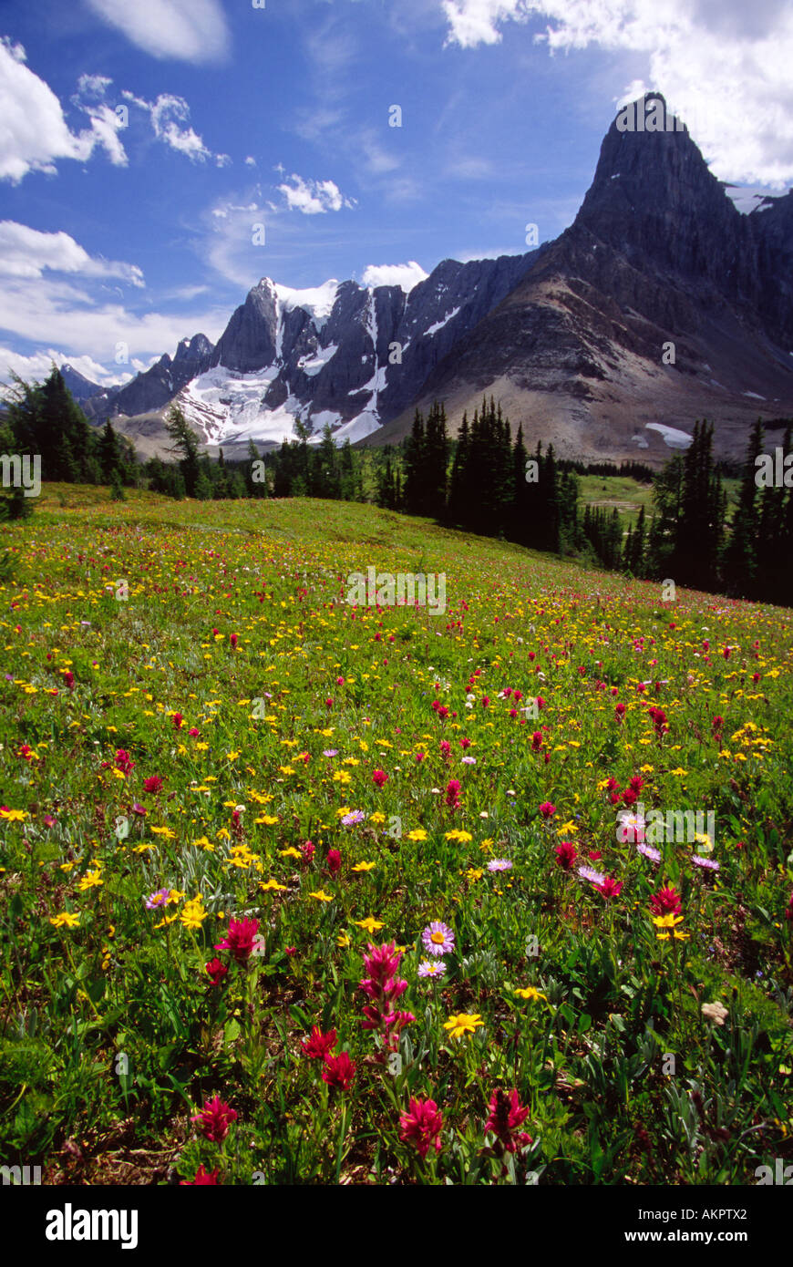 The rockwall trail hi-res stock photography and images - Alamy