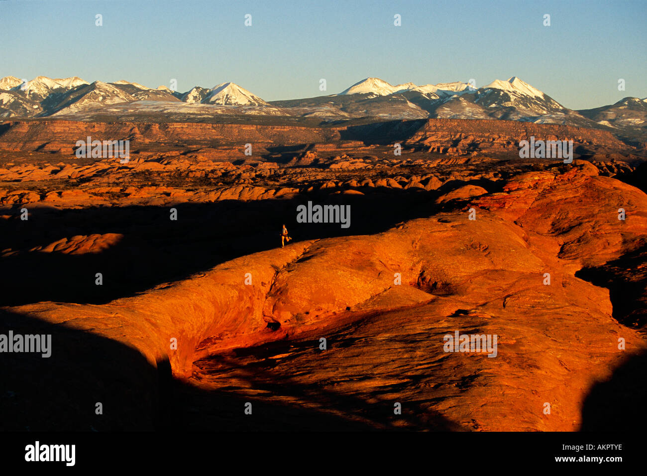 The lion's back moab hi-res stock photography and images - Alamy