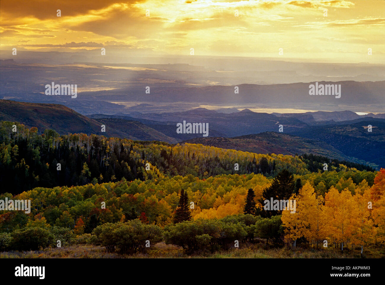 Fall colors in the desert hi-res stock photography and images - Alamy