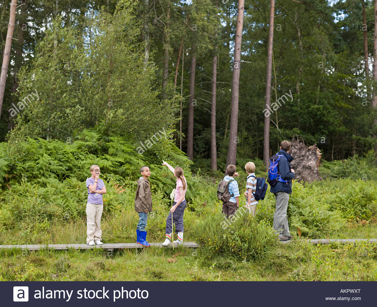 School Field Trip Stock Photos & School Field Trip Stock Images - Alamy