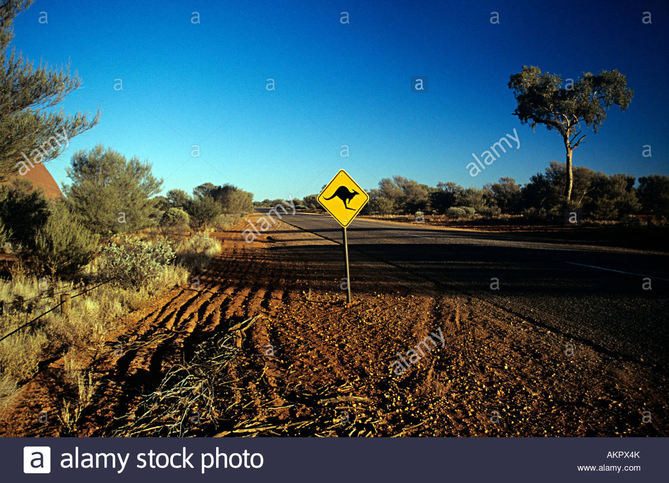 Australian Kangaroo Signpost Stock Photos & Australian Kangaroo ...