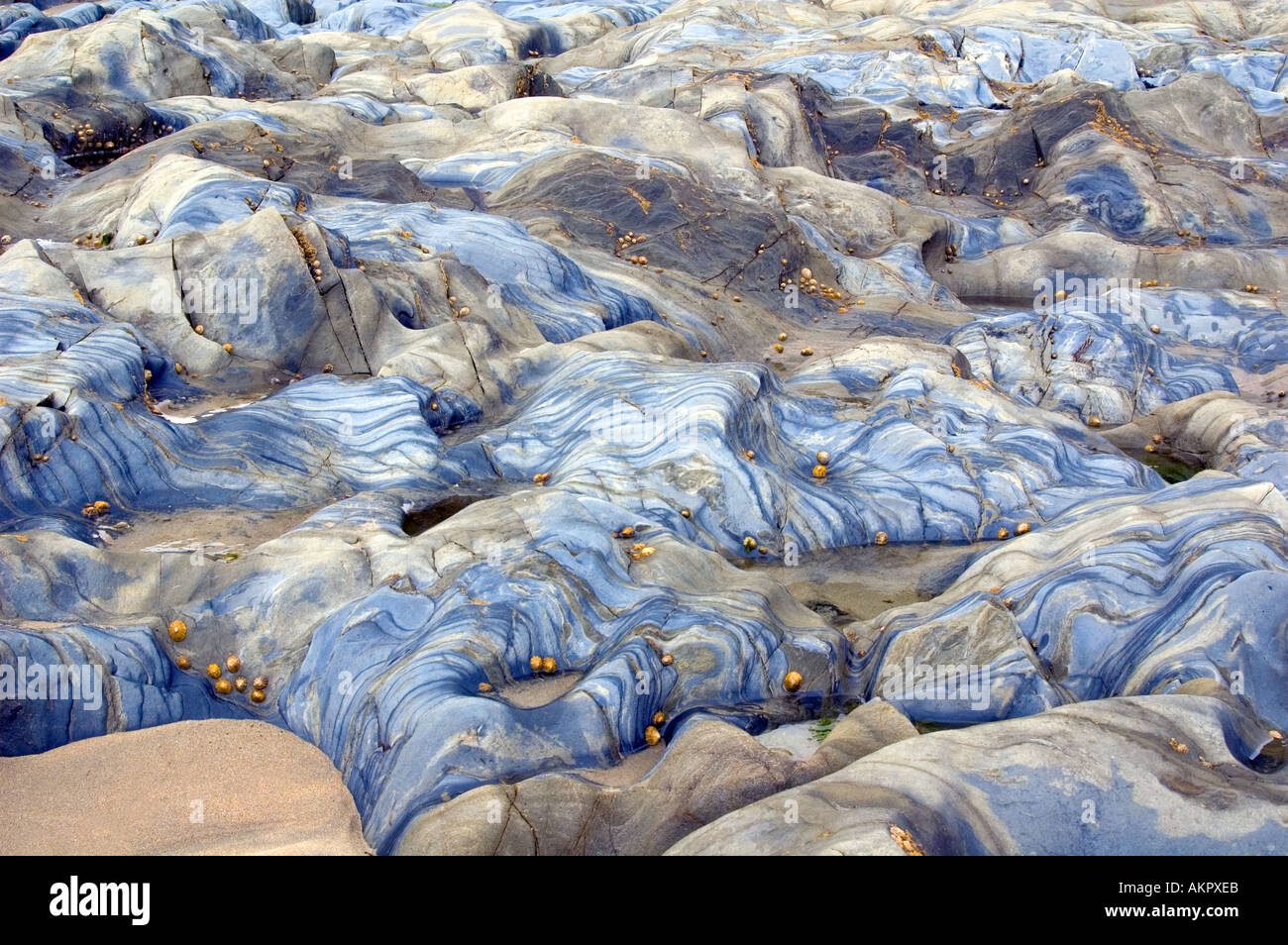 Blue Rock Formations Porthcurnick Beach Stock Photo - Alamy
