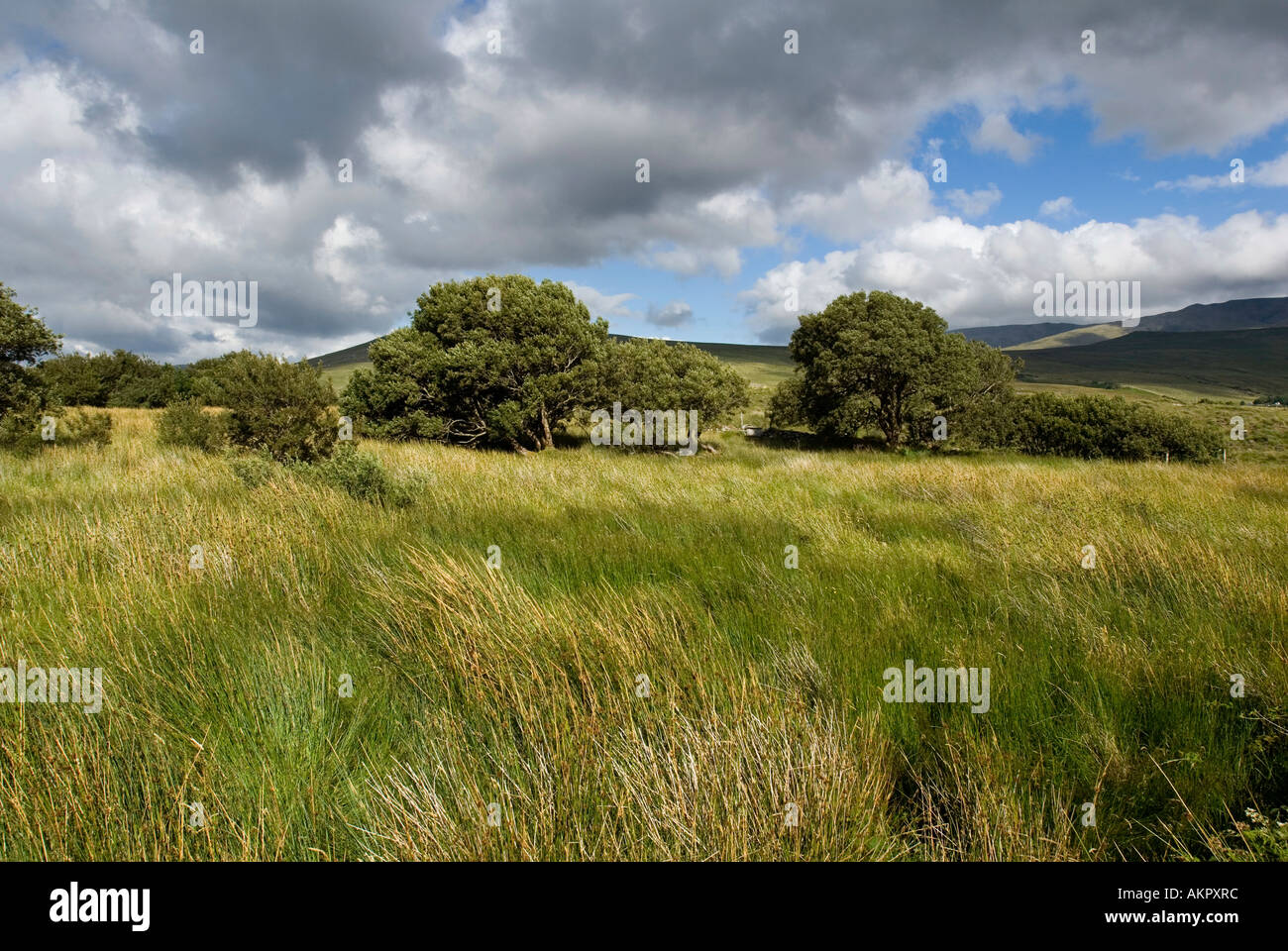 Partry mountains hi-res stock photography and images - Alamy