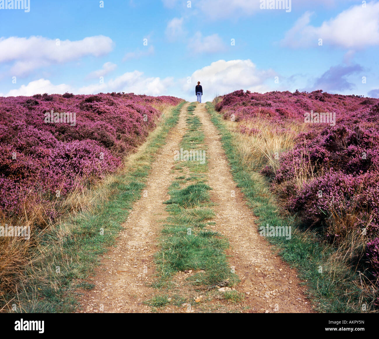 Woman walking yorkshire moors hi-res stock photography and images - Alamy