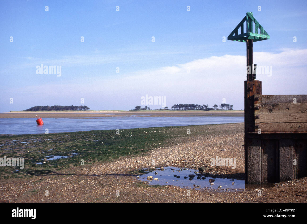 Groin region hi-res stock photography and images - Alamy